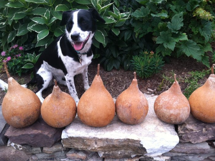 Tussie Mussie : The Victorian Art of Expressing Yourself – The Garden ...