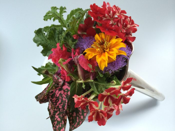 Tussie Mussie : The Victorian Art of Expressing Yourself – The Garden ...