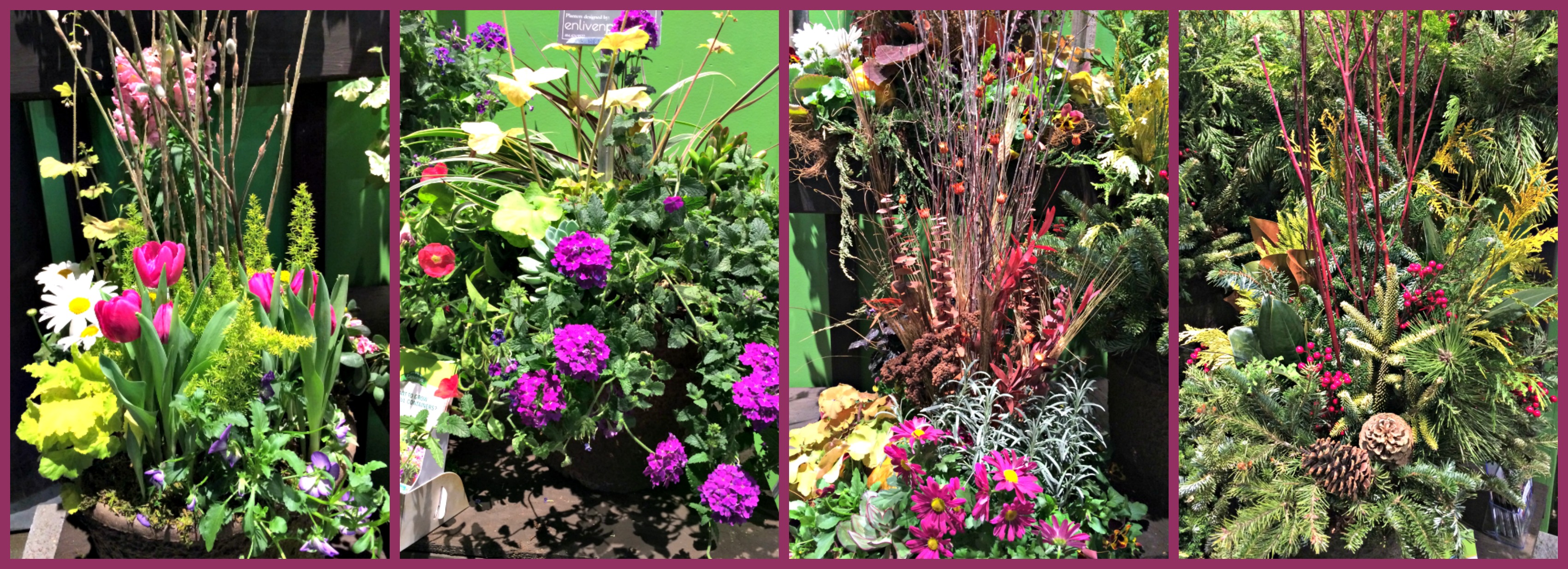 Lights Camera Bloom! Philadelphia Flower Show-Part 1 – The Garden Diaries